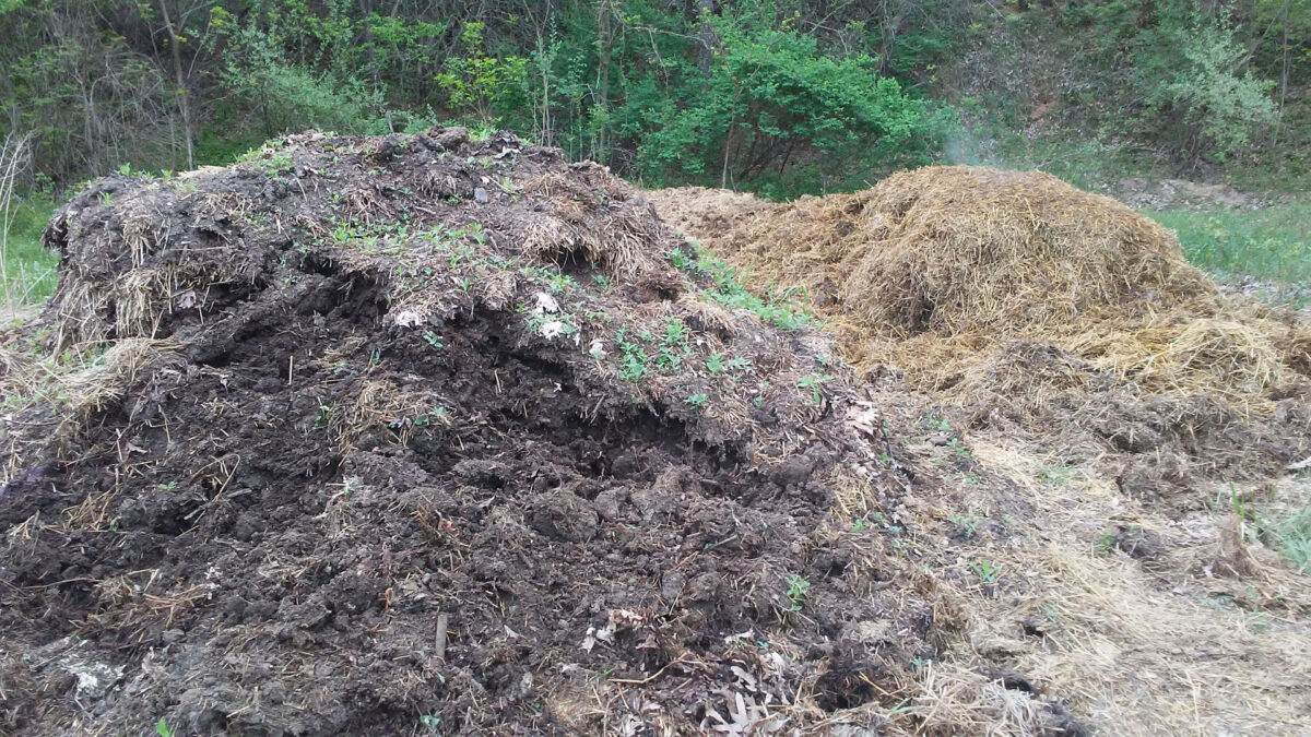 Composting Experience: Experiential Learning Session - Laudato si