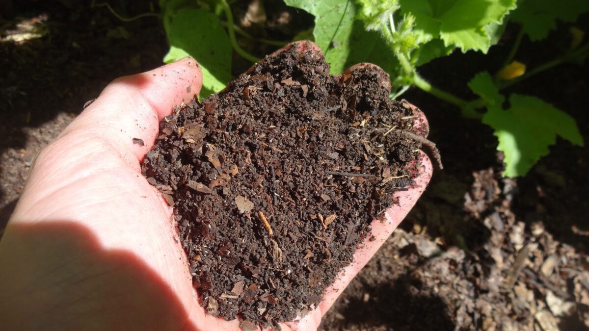 Composting Experience: Experiential Learning Session – Laudato si